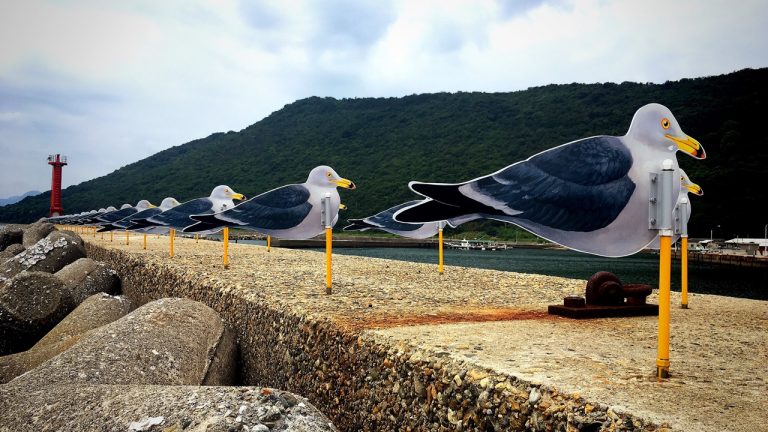 Highlights and how to get to Megijima Island. ｜ Japan's Travel Manual