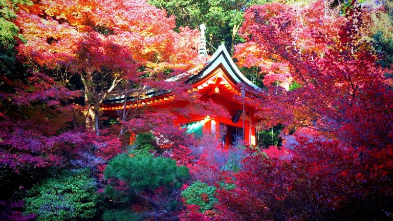 Highlights and how to get to Bishamon-do Temple. ｜ Japan's Travel Manual