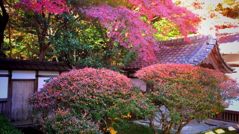 Highlights and how to get to Bishamon-do Temple. ｜ Japan's Travel Manual
