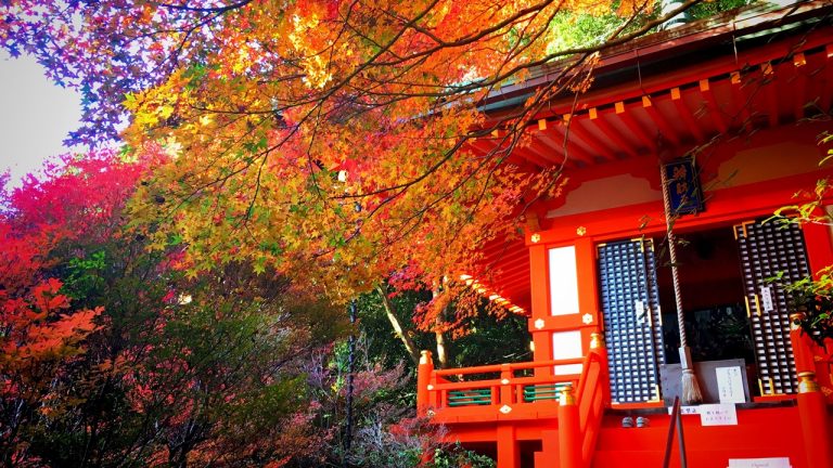 Highlights and how to get to Bishamon-do Temple. ｜ Japan's Travel Manual