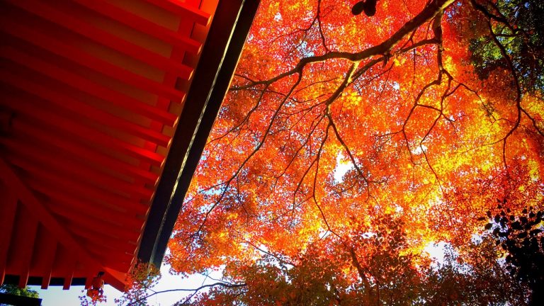 Highlights and how to get to Bishamon-do Temple. ｜ Japan's Travel Manual