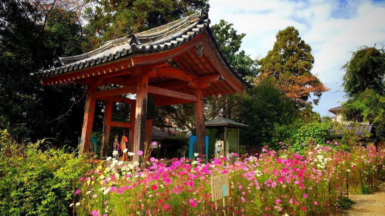 Highlights and how to get to Hannya-ji Temple ｜ Japan's Travel Manual