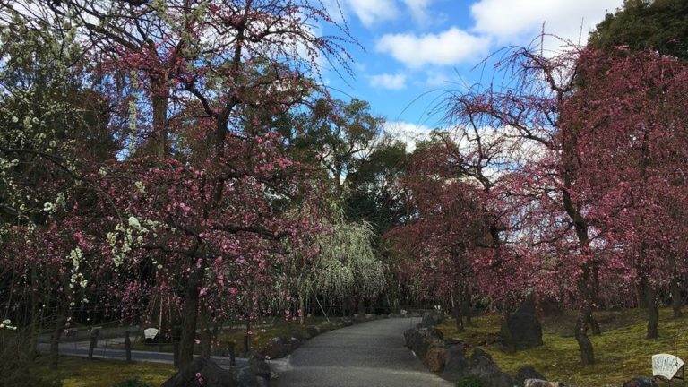 Directions and highlights of Jonan-gu Shrine. ｜ Japan's Travel Manual