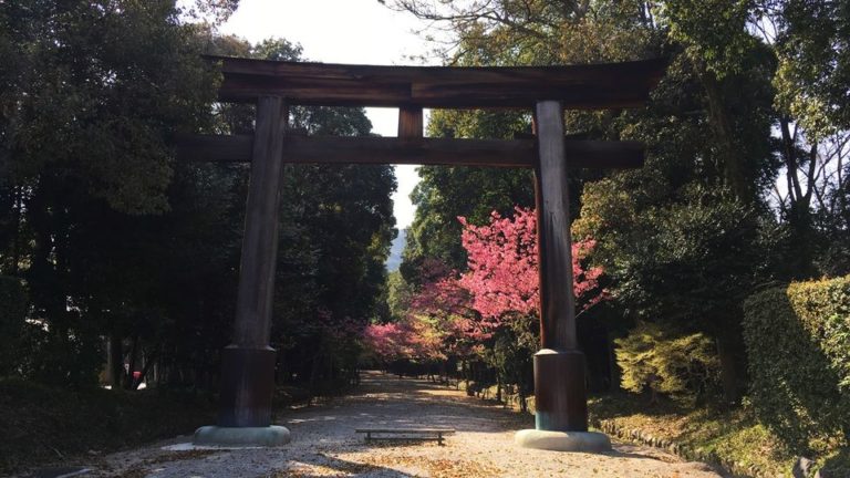Directions and highlights of Omi-jingu Shrine. ｜ Japan's Travel Manual