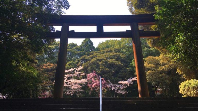 Directions and highlights of Omi-jingu Shrine. ｜ Japan's Travel Manual
