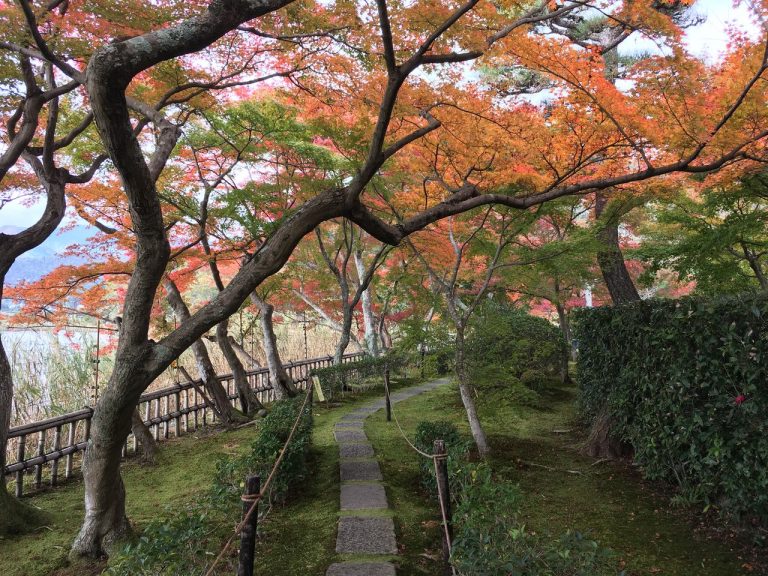 Directions and highlights of Heian-kyo in Kyoto. ｜ Japan's Travel Manual